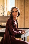 Leta Lestrange | Heroes and Villains Wiki | Fandom