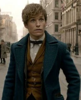 Newt Scamander | Heroes and Villains Wiki | Fandom