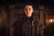 Arya Stark | Heroes and Villains Wiki | Fandom