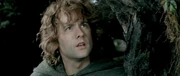 Pippin Took | Heroes and Villains Wiki | Fandom