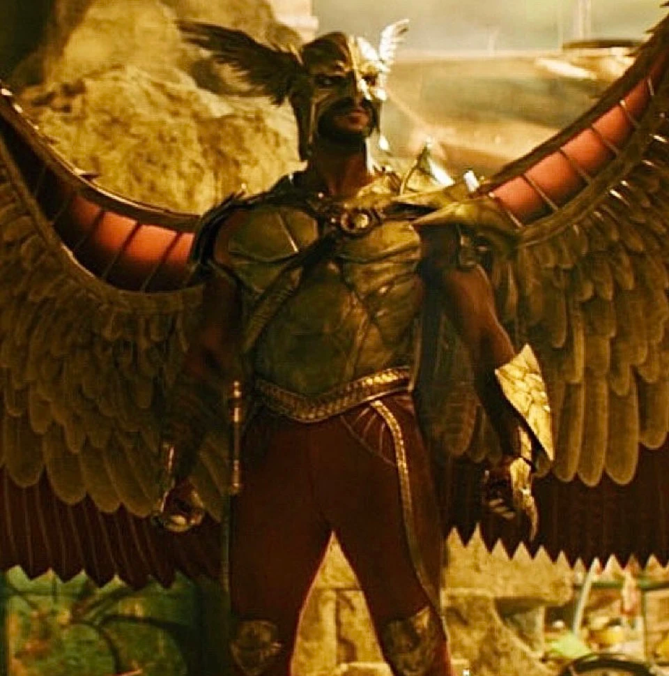 Hawkman (DC Extended Universe) | Heroes and Villains Wiki | Fandom