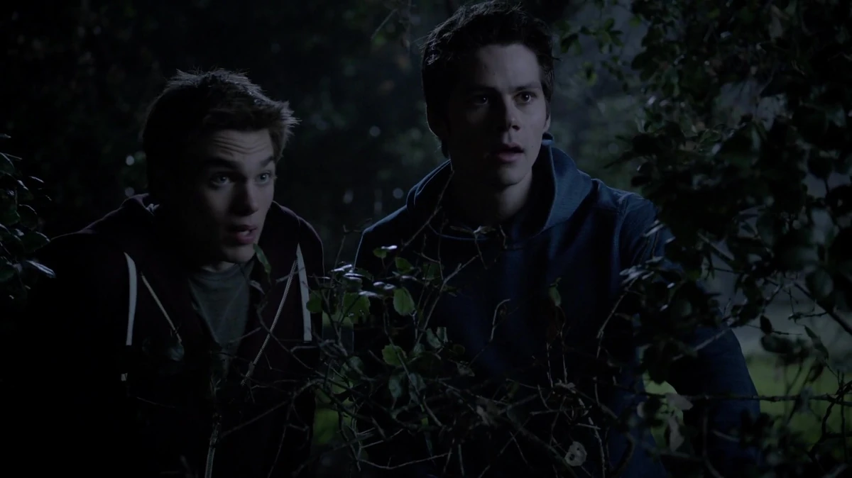 Stiles Stilinski and Liam Dunbar | Heroes and Villains Wiki | Fandom