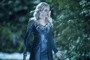 Killer Frost (DC) | Heroes and Villains Wiki | Fandom