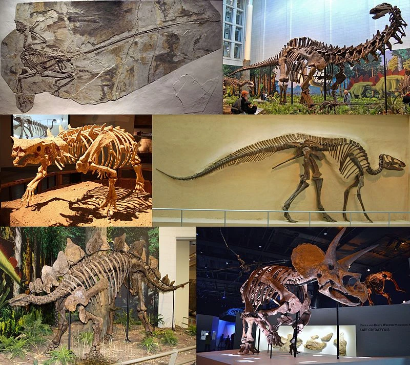 Dinosaur | Heroes and Villains Fight Club Wiki | Fandom