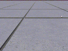 Human Architect | Heroes Battlegrounds Wiki | Fandom