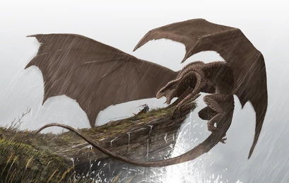 Thunder Drake | Heroes of Erissan dnd5e Homebrew Wiki | Fandom