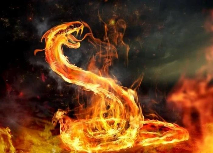 Fire Worm | Heroes of Erissan dnd5e Homebrew Wiki | Fandom