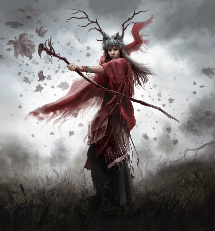 The Shaman | Heroes of Erissan dnd5e Homebrew Wiki | Fandom