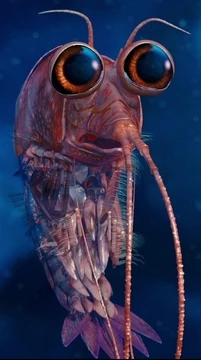 how to draw happy feet 2 characters