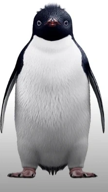 Nestor (Happy Feet) | Heroes of the characters Wiki | Fandom