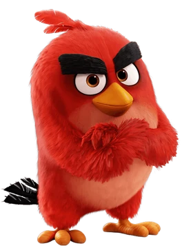 Angry Birds Cat Daddy