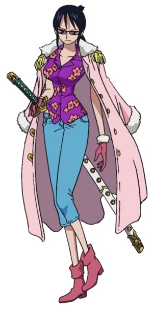 Tashigi (One Piece Series) | Heroes unite Wikia | Fandom