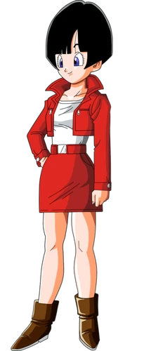 Videl (Dragon Ball Series) | Heroes unite Wikia | Fandom