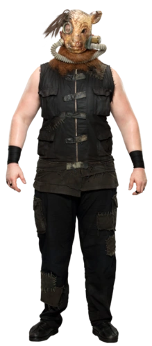 Erick Rowan (Real Life) | Heroes unite Wikia | Fandom