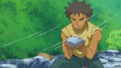 Flint (Kanto) (Pokémon Series) | Heroes unite Wikia | Fandom