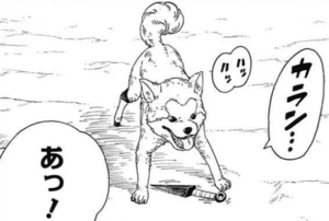 Chamaru (Naruto Series) | Heroes unite Wikia | Fandom