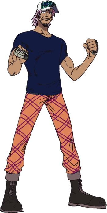 Fullbody (One Piece Series) | Heroes unite Wikia | Fandom