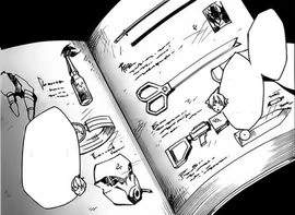 Divination Teigu (Akame ga Kill Series) | Heroes unite Wikia | Fandom