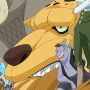 Sea Leopard (One Piece Series) | Heroes unite Wikia | Fandom