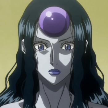 Palm Siberia (Hunter × Hunter Series) | Heroes unite Wikia | Fandom