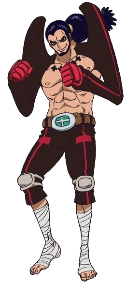 Ideo (One Piece Series) | Heroes unite Wikia | Fandom