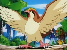 Ash's Pidgeot (Pokémon Series) | Heroes unite Wikia | Fandom