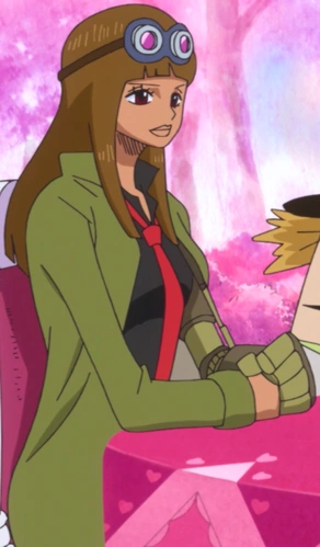 Ahiru (One Piece Series) | Heroes unite Wikia | Fandom