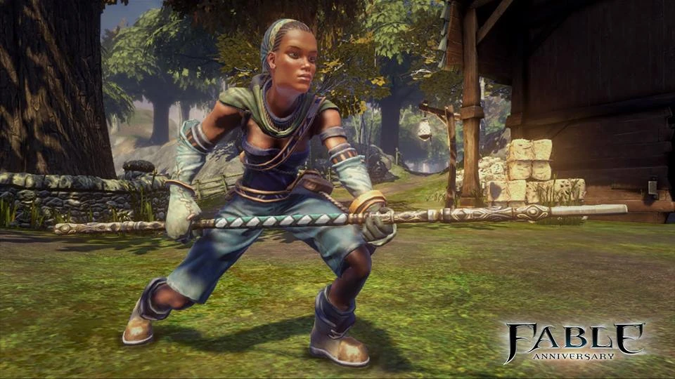 Fable Anniversary Hero