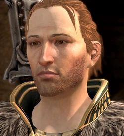 Anders(Dragon Age) | Heroes & Villains Wiki | Fandom
