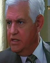 Steve | Heroes Wiki | Fandom