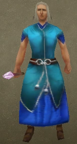 Mage | Celtic Heroes Wiki | Fandom