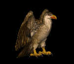 Roc | Heroes: Might And Magic Wiki | Fandom