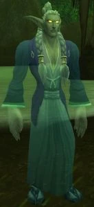 Verinias | Heroes of Azeroth Wikia | Fandom