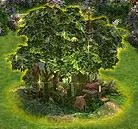 World Buildings/archive | Heroes of Gaia Wiki | Fandom