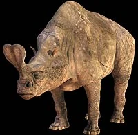 DW: Embolotherium | Heroes of the Multiverses Wiki | Fandom