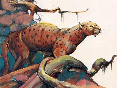 DW: Nimravid | Heroes of the Multiverses Wiki | Fandom