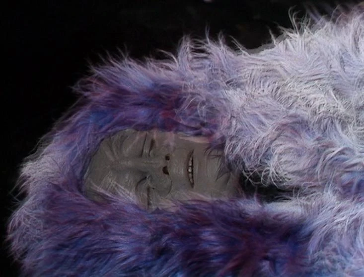 DW: Spiridon (species) | Heroes of the Multiverses Wiki | Fandom