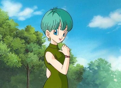 Bulma | Wiki Heroes & Series | Fandom