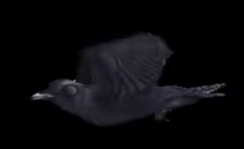 The Undertaker (Mortal Kombat Chaotic/New Era series) | Hero Fanon Wiki ...