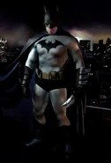 Batman (BatintheSun) | Hero Fanon Wiki | Fandom