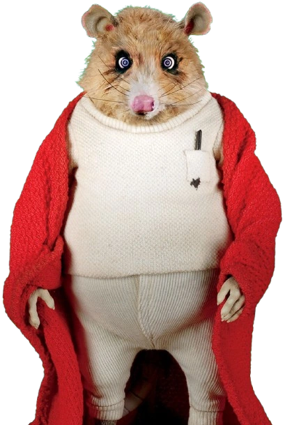 Kylie Opossum | Heroic Benchmark Wiki | Fandom