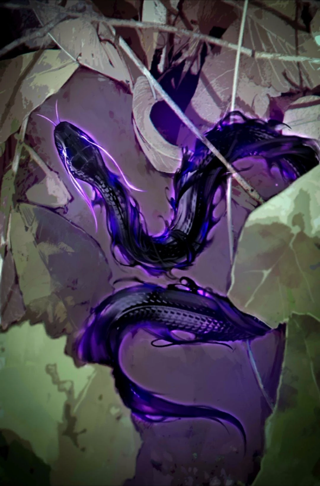 Black Snake | Heroines Fantasy Wiki | Fandom
