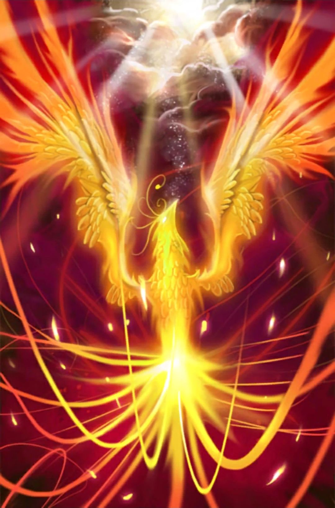 The Light Phoenix | Heroines Fantasy Wiki | Fandom
