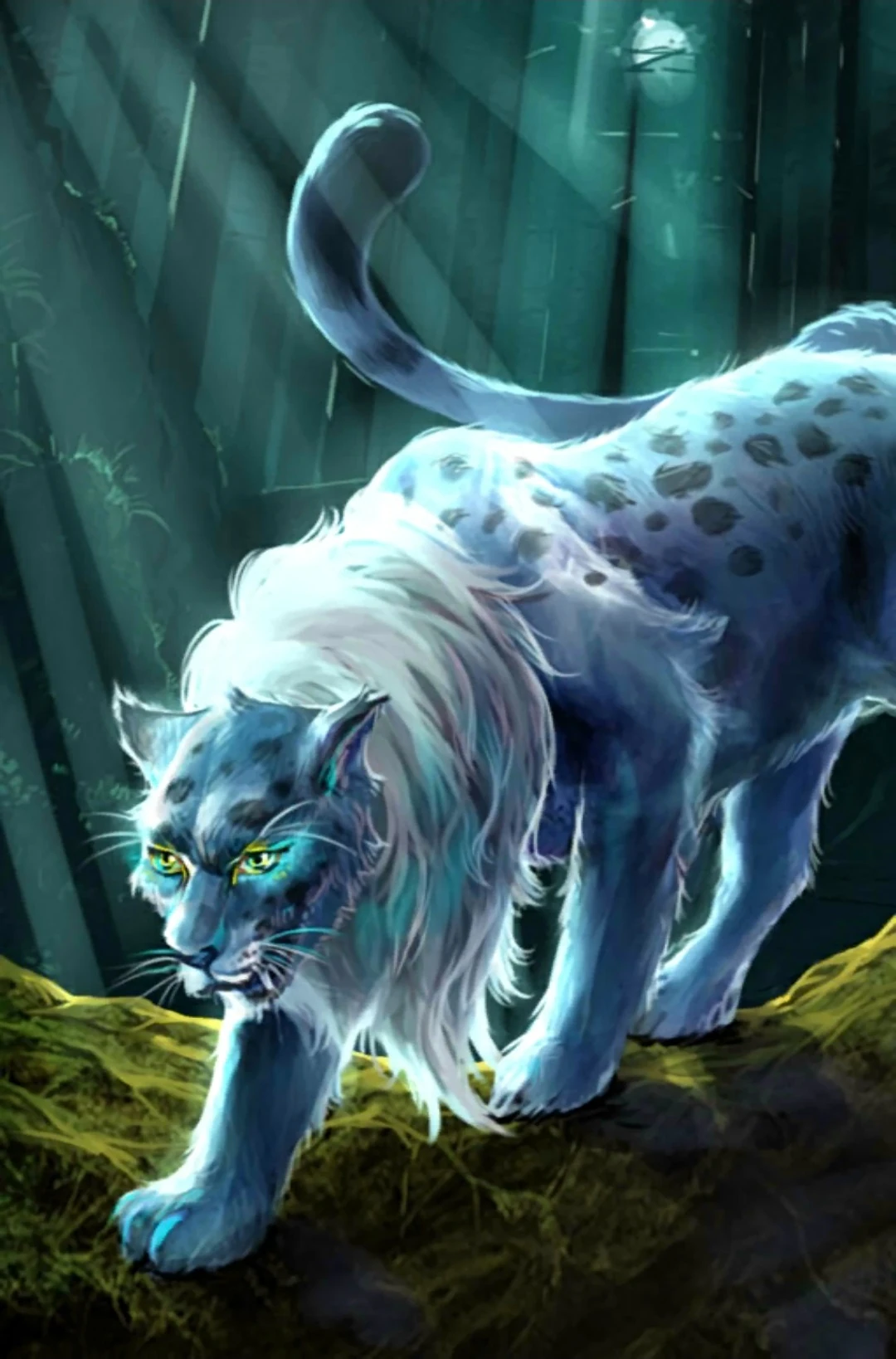 Leopard | Heroines Fantasy Wiki | Fandom