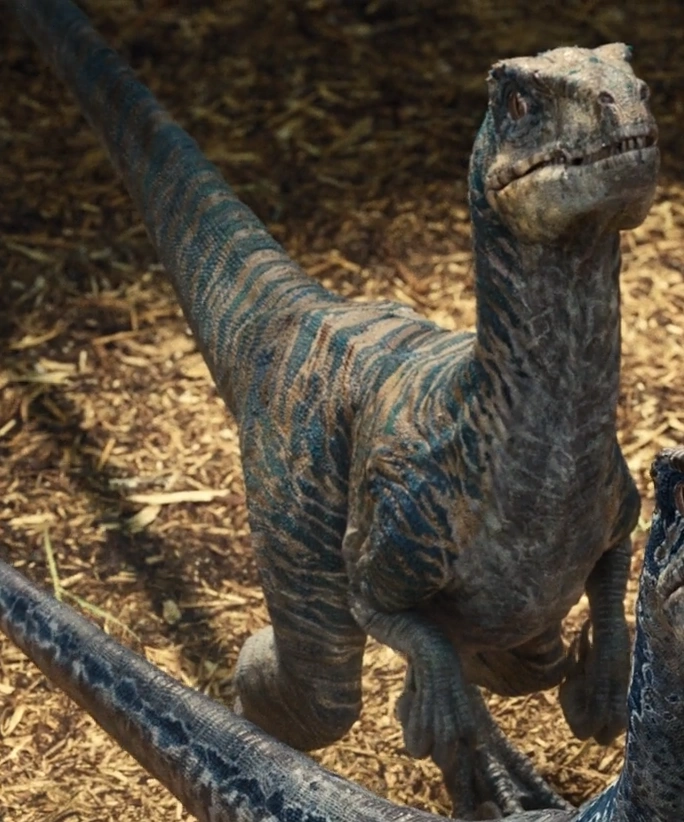 Echo (Jurassic World) | Wiki Herois | Fandom