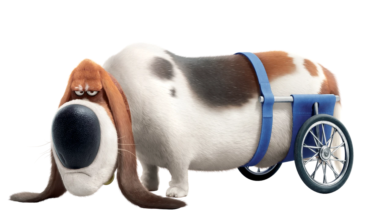 Pops | Wiki Herois | Fandom