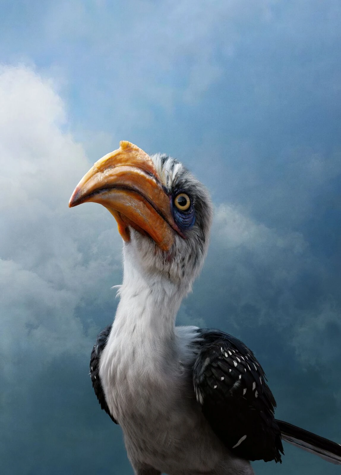 Zazu (2019) | Wiki Herois | Fandom
