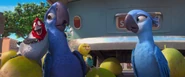 Blu | Wiki Herois | Fandom