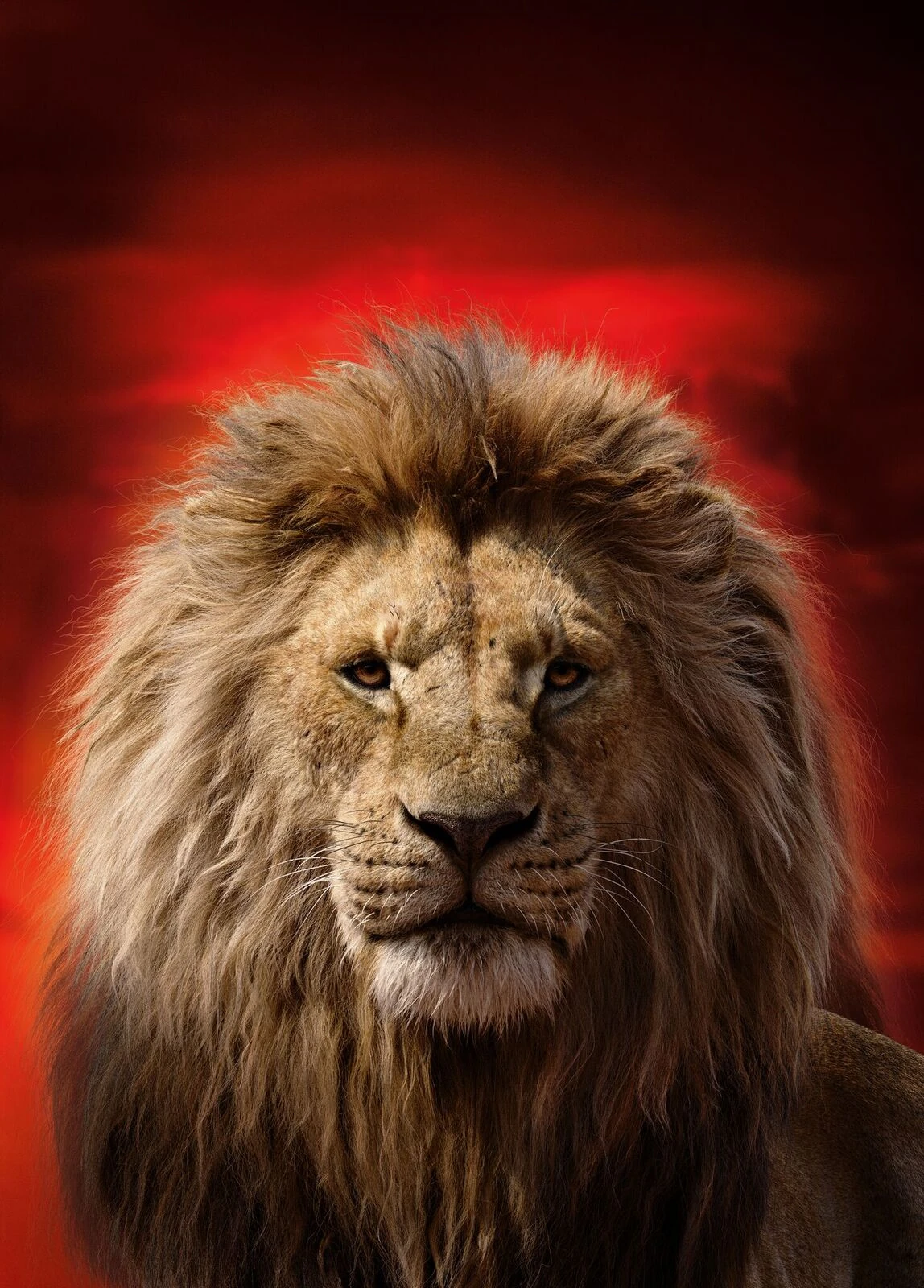 Mufasa (2019) | Wiki Herois | Fandom