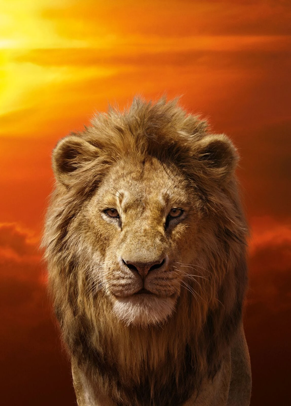 Simba (2019) | Wiki Herois | Fandom